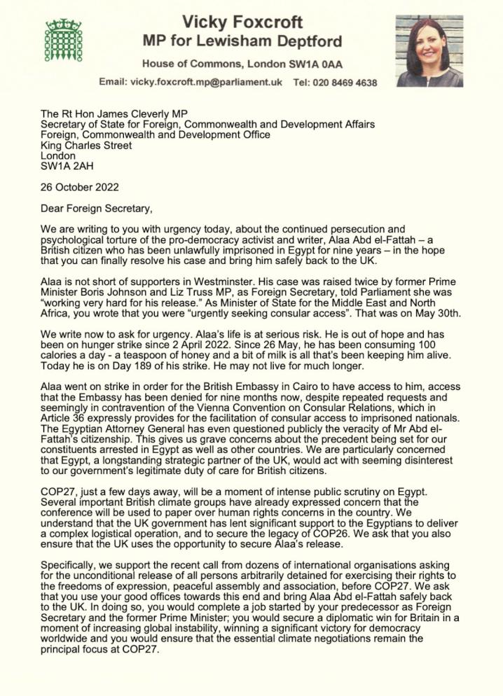 Alaa Abd El-Fattah - Vicky Foxcroft